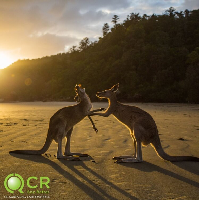 Advanced Technology Lenses - Victor Eye Centre » Victor Eye Centre