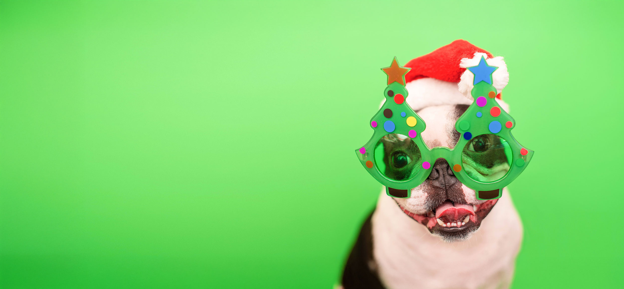 Home Page - Victor Eye Centre » Victor Eye Centre